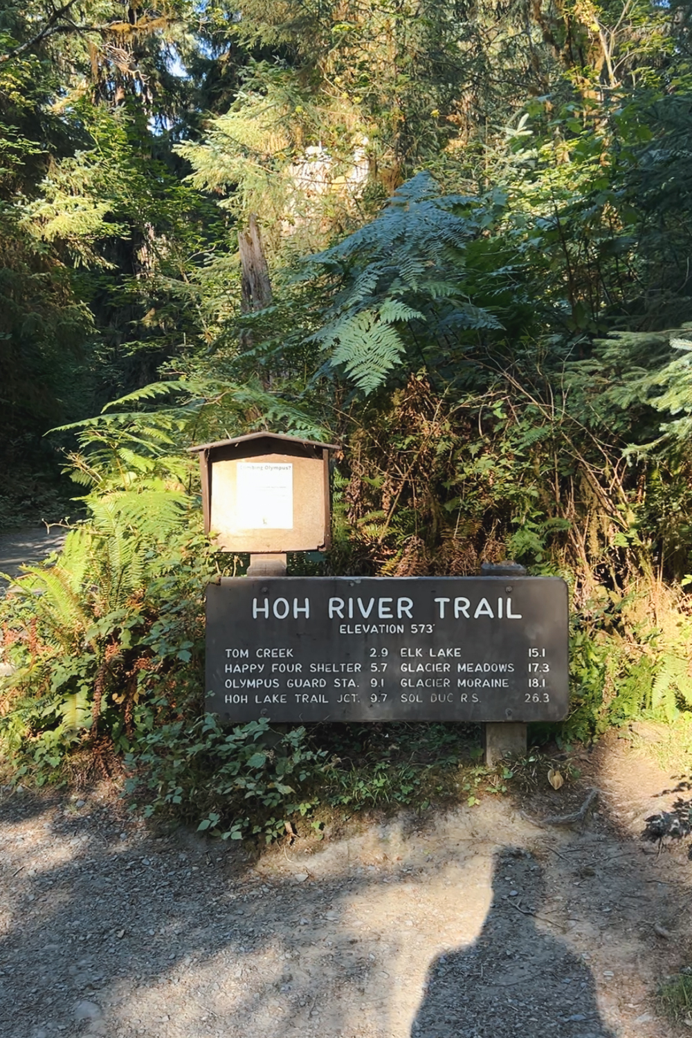 Hoh River Trail to Blue Glacier: The Ultimate Guide – Hike With Kurt