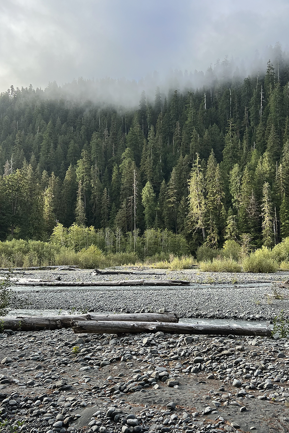 Hoh River Trail to Blue Glacier: The Ultimate Guide – Hike With Kurt