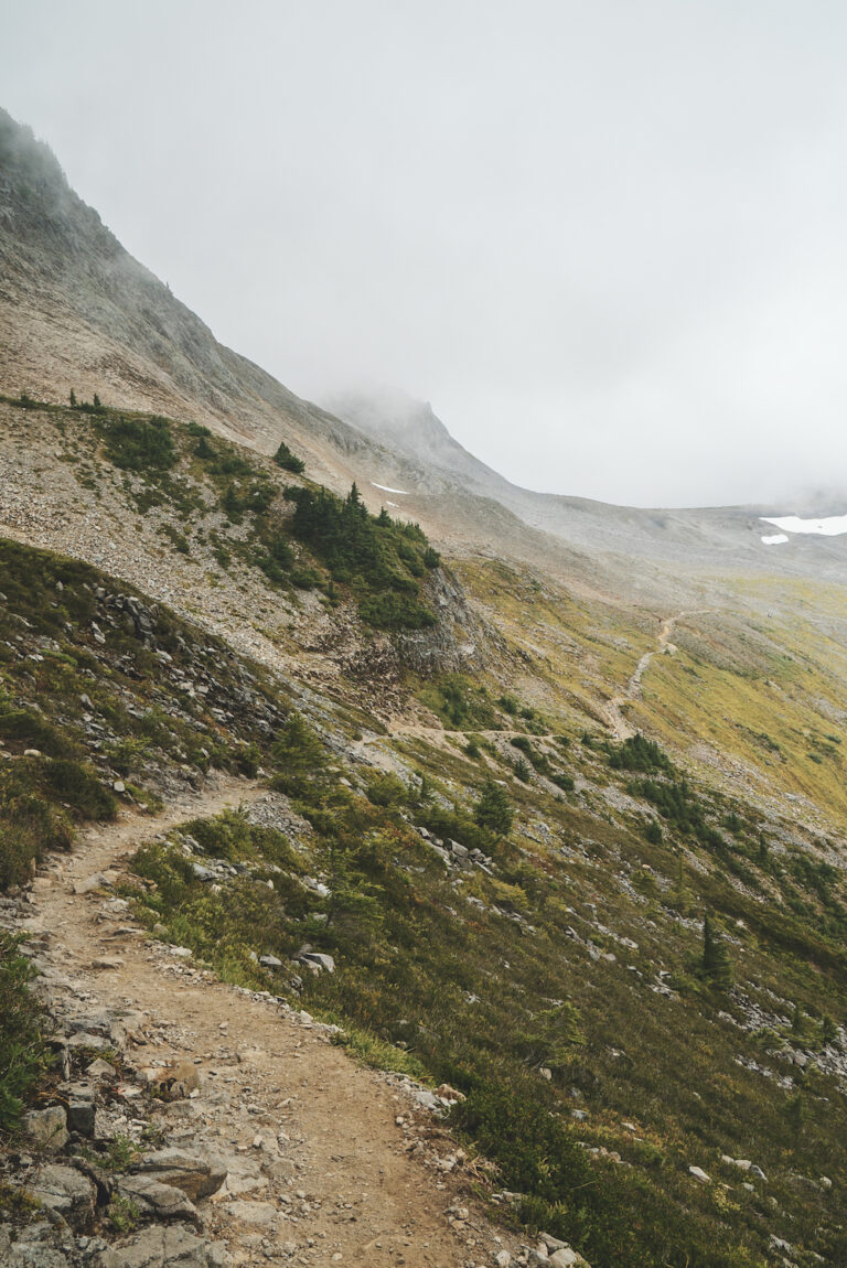 Ultimate Guide to Backpacking Ptarmigan Ridge: Tips, Permits, and Best ...