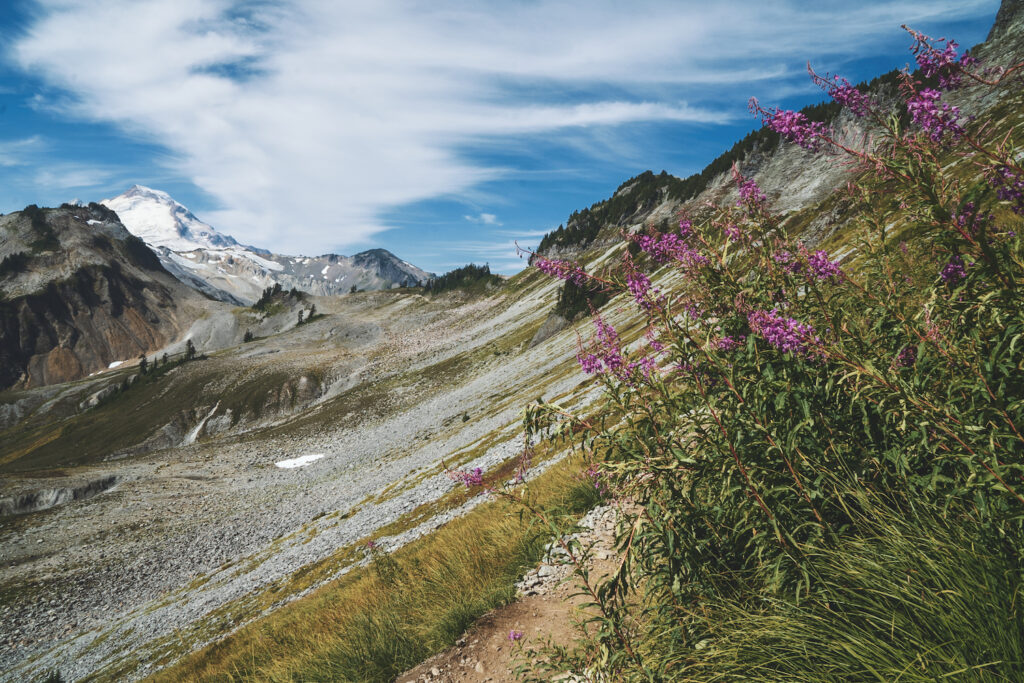 Ultimate Guide to Backpacking Ptarmigan Ridge: Tips, Permits, and Best ...