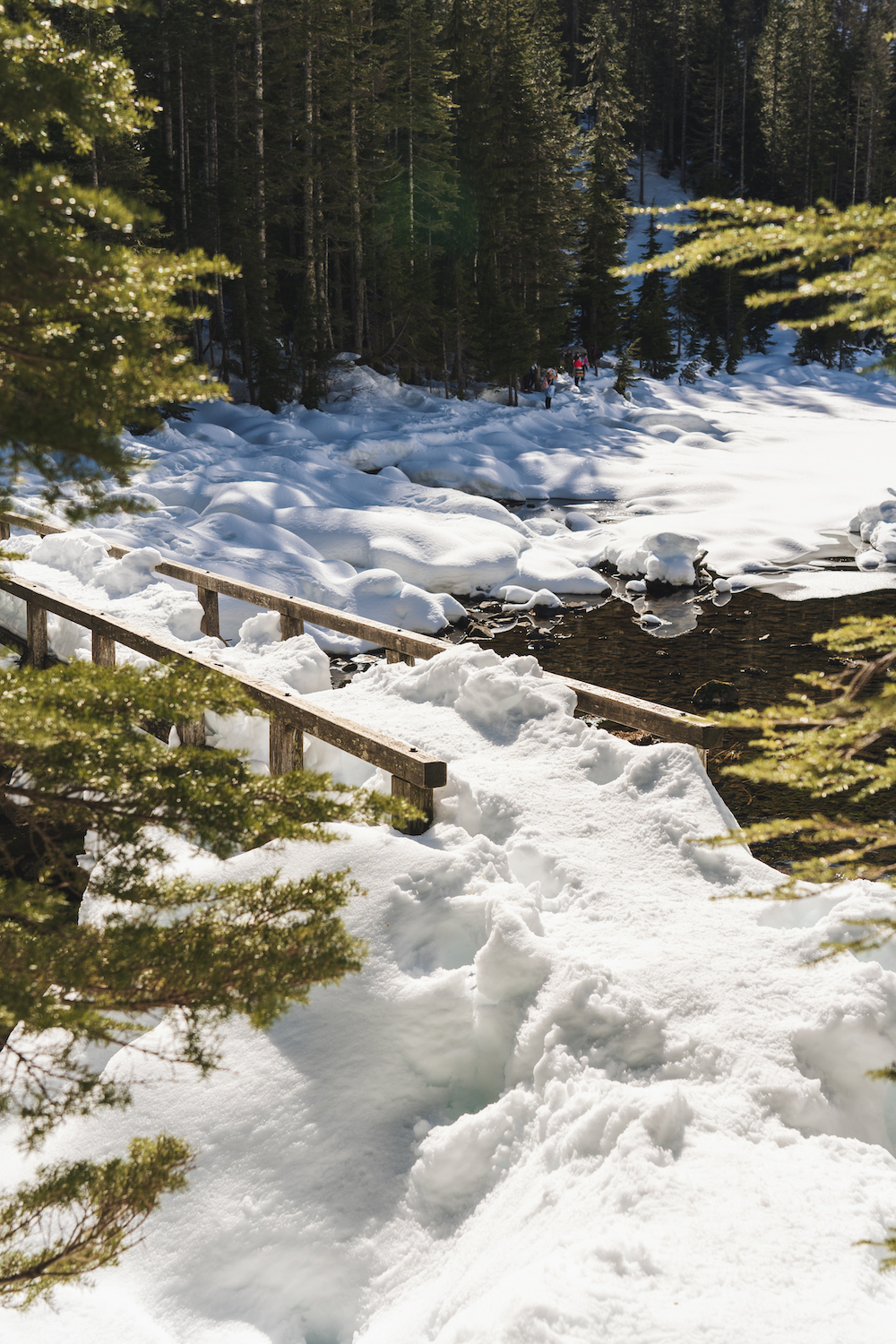 Lake 22 Hike – A Classic Washington Hike – Hike With Kurt