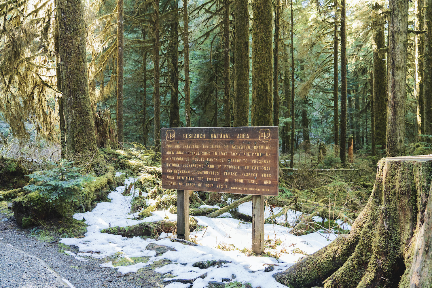 Lake 22 Hike – A Classic Washington Hike – Hike With Kurt