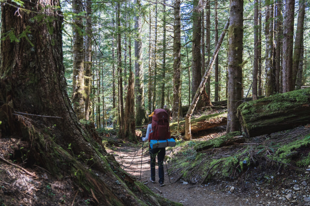 Barclay Lake – The Best Beginner Backpacking Hike in Washington – Hike ...