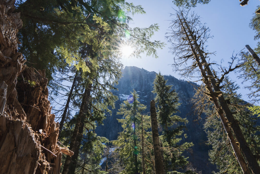 Barclay Lake – The Best Beginner Backpacking Hike in Washington – Hike ...