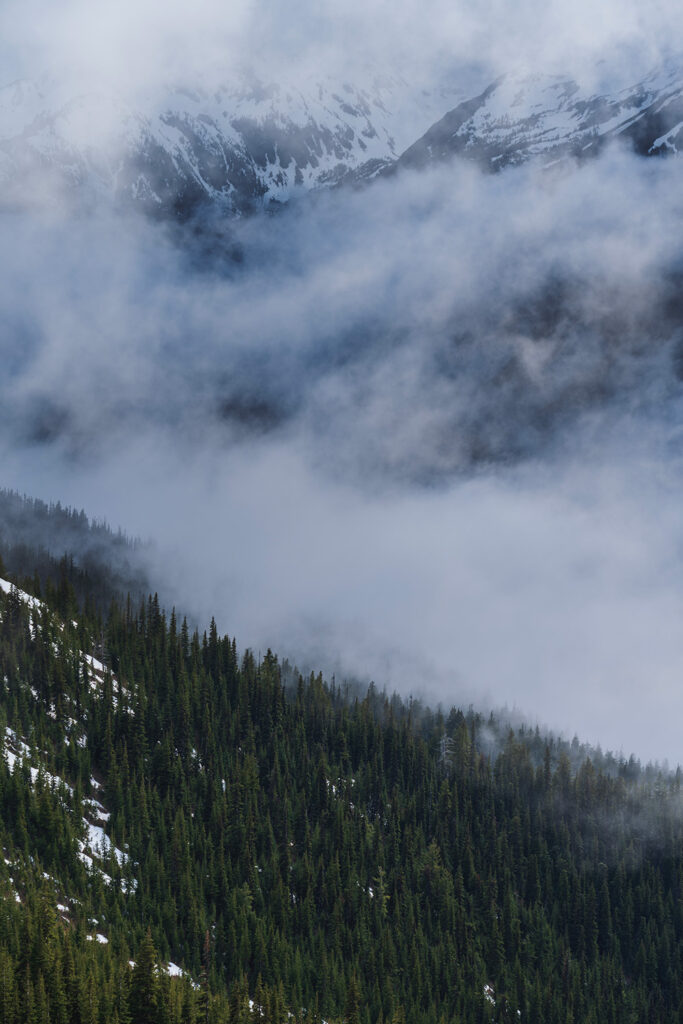 Backpacking Marmot Pass in Olympic National Forest (Ultimate Guide ...