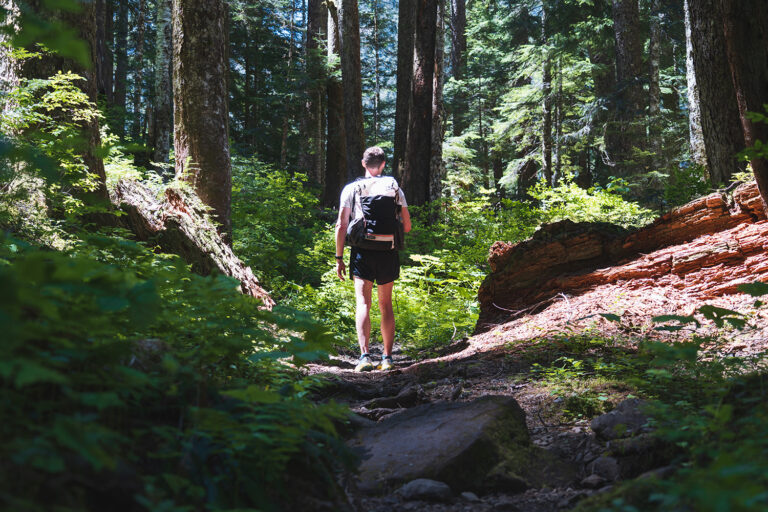 Upper Lena Lake Trail Guide (Olympic National Park) – Hike With Kurt