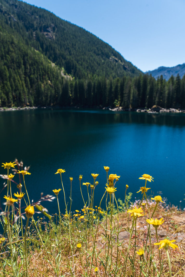 Upper Lena Lake Trail Guide (Olympic National Park) – Hike With Kurt