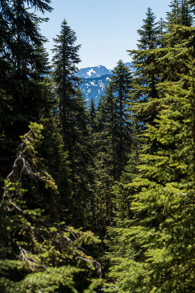 Ultimate Alpine Adventure: Backpacking Minotaur Lake & Labyrinth ...