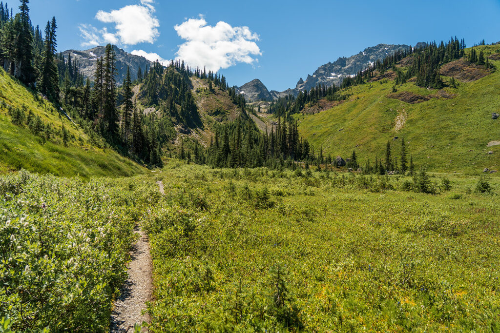 Backpacking Royal Basin In Olympic National Park (Epic Views) – Hike ...