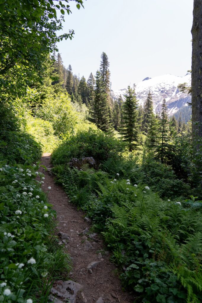 Backpacking the Copper Ridge Trail: Ultimate Guide to North Cascades ...