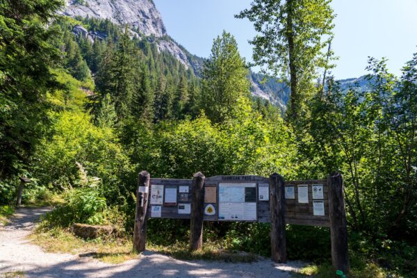 Backpacking the Copper Ridge Trail: Ultimate Guide to North Cascades ...