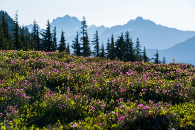 Backpacking the Copper Ridge Trail: Ultimate Guide to North Cascades ...