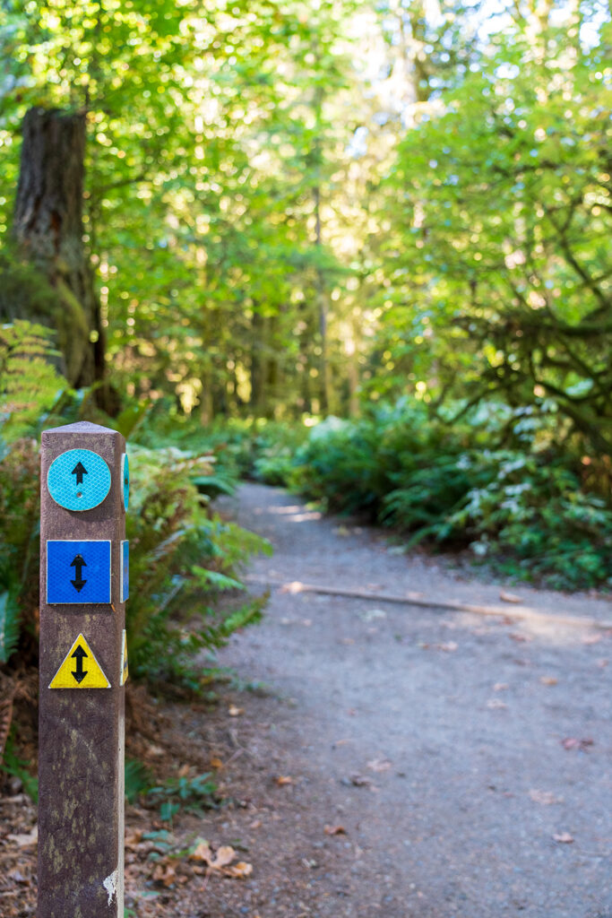 Point Defiance Loop Hike: Easy 5-Mile Trail with Puget Sound Views and ...