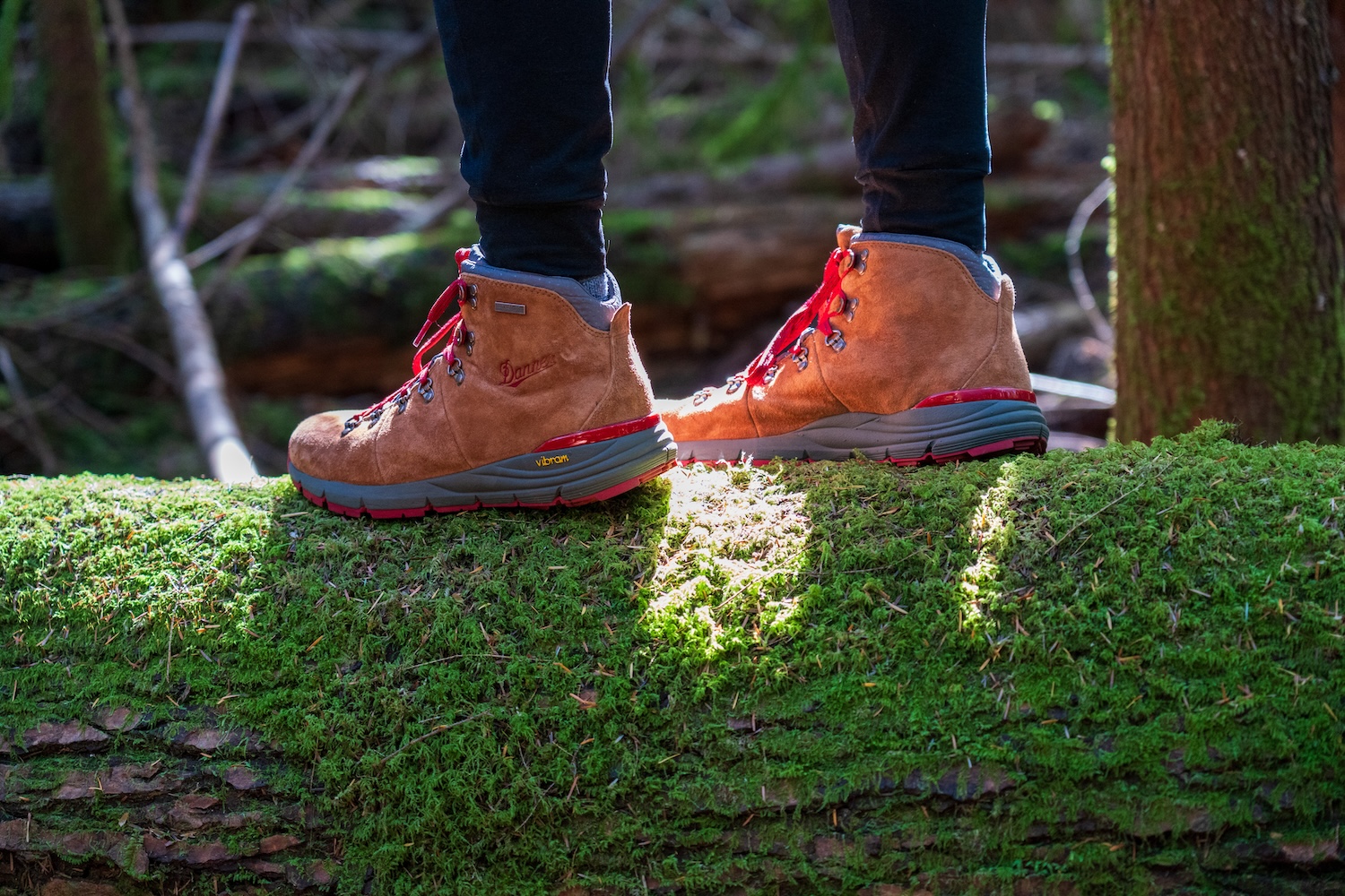 Point Defiance Loop Hike: Easy 5-Mile Trail with Puget Sound Views and ...