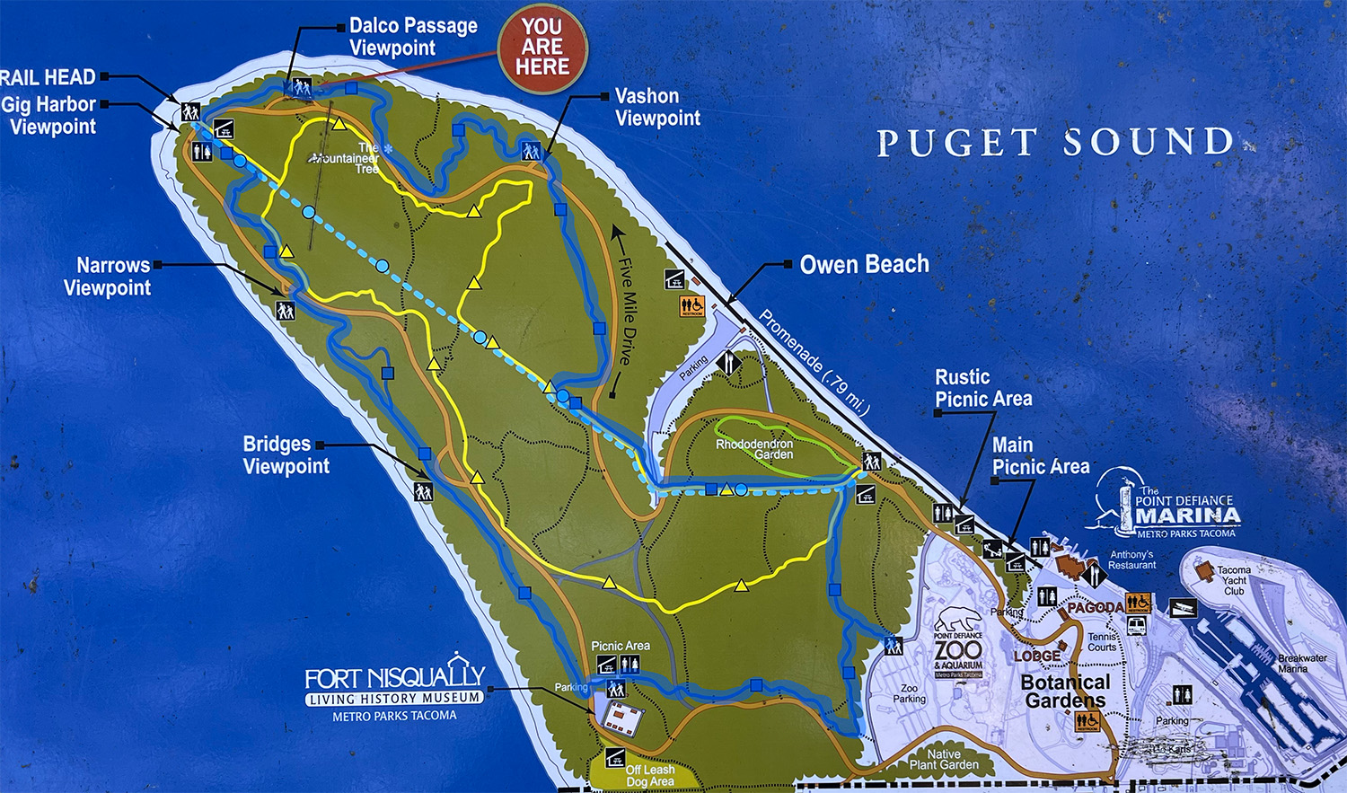 Point Defiance Loop Hike: Easy 5-Mile Trail with Puget Sound Views and ...
