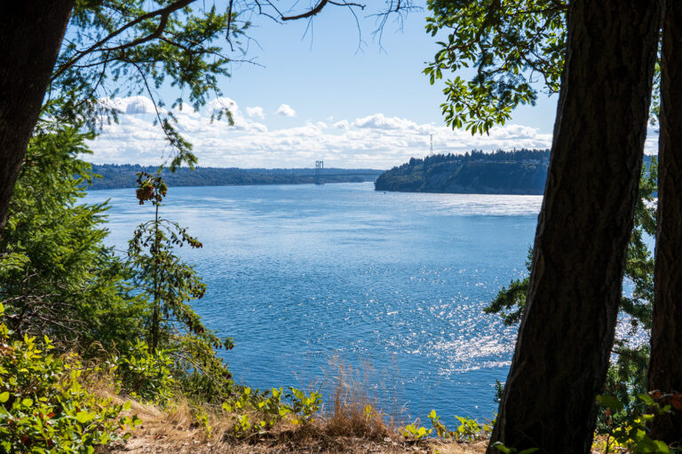 Point Defiance Loop Hike: Easy 5-Mile Trail with Puget Sound Views and ...