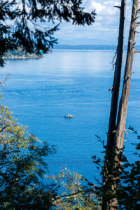Point Defiance Loop Hike: Easy 5-Mile Trail with Puget Sound Views and ...