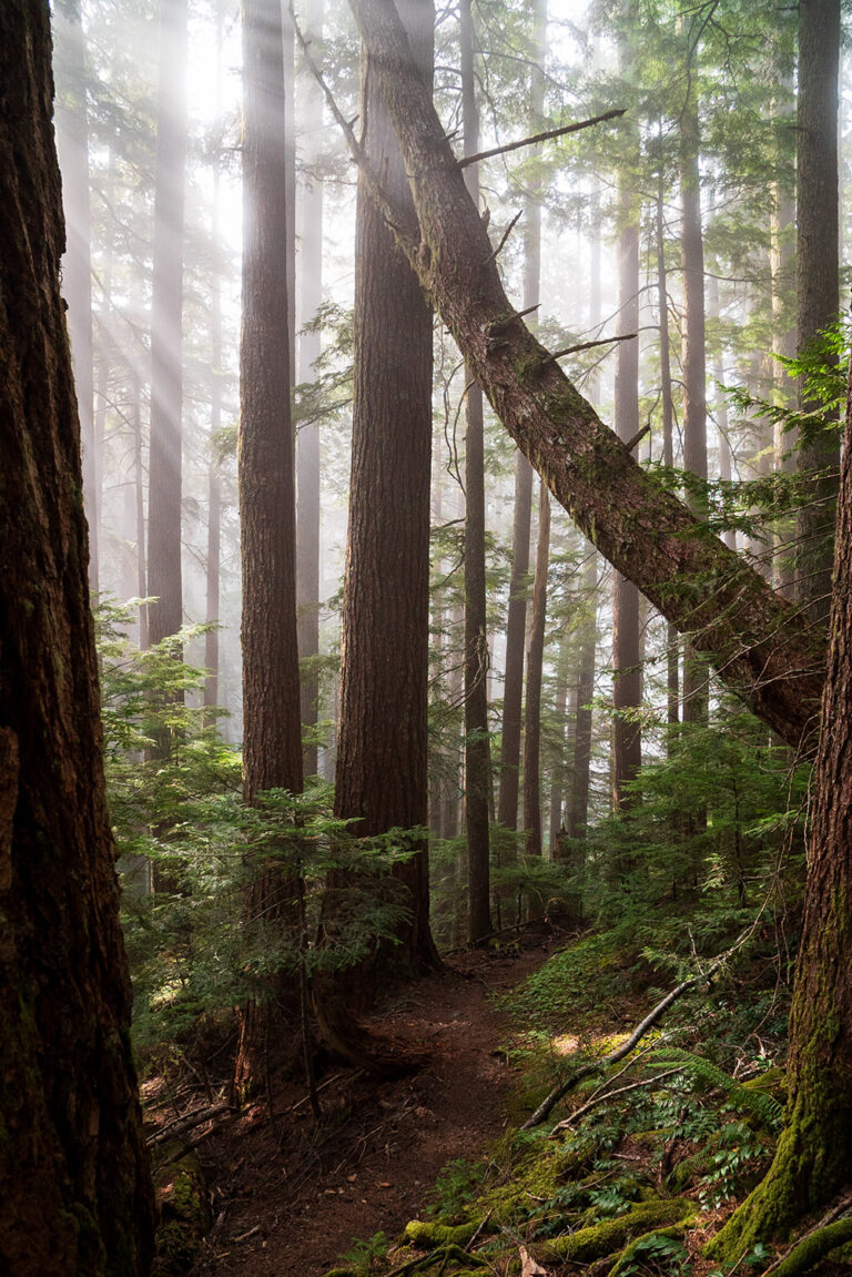 Lake Constance: A Complete Guide to the Most Rewarding Hike in Olympic ...