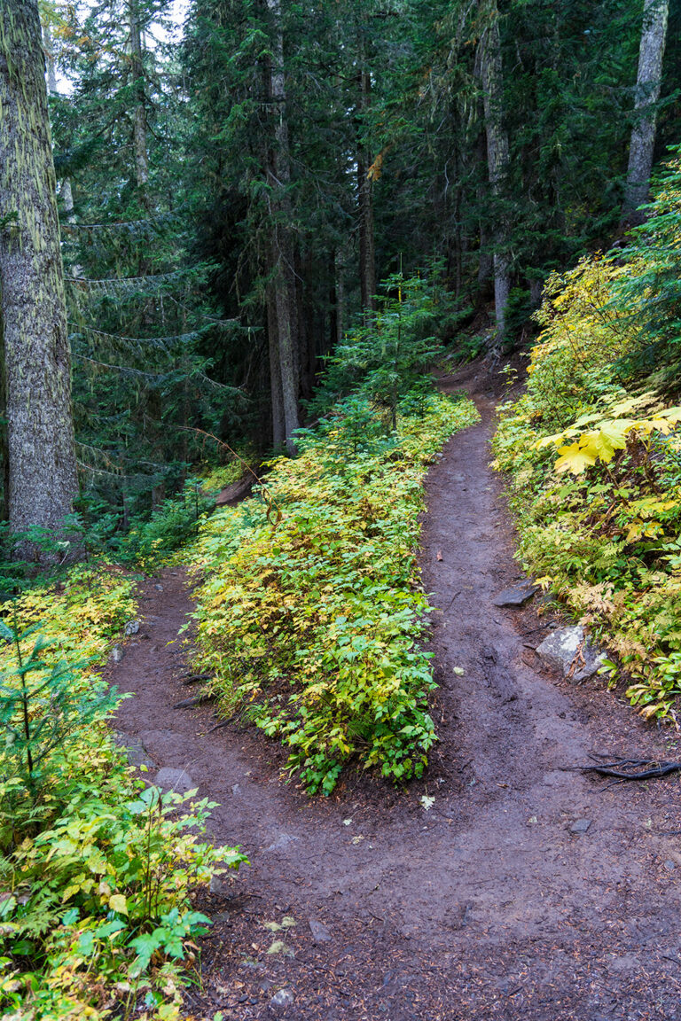 The Complete Guide To Backpacking Sahale Glacier Camp Via Cascade Pass – Hike With Kurt